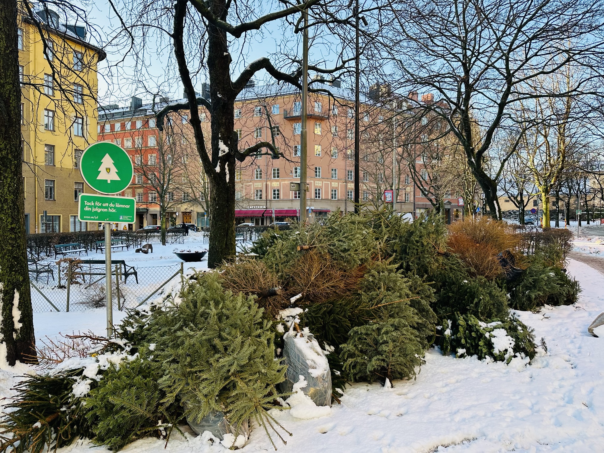 Sweden’s Christmas tree piles – Watching the Swedes