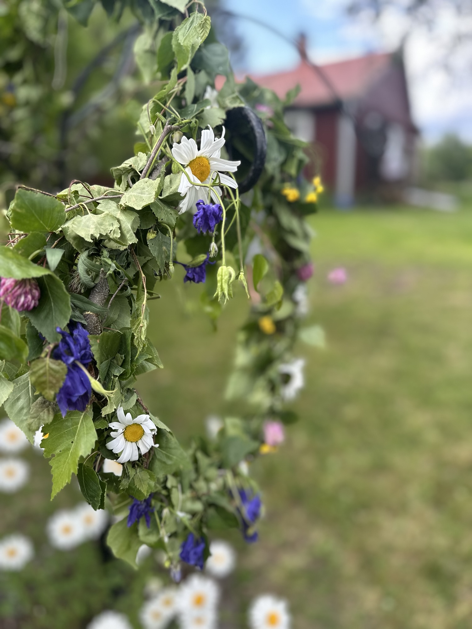 The pagan origins of Sweden’s Midsummer celebrations – Watching the Swedes